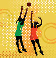 Brompton-on-Swale Village Society - Netball-Netball